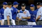 Why Are Umpires Called Blue? Unveiling Baseball's Colorful Referee Nickname