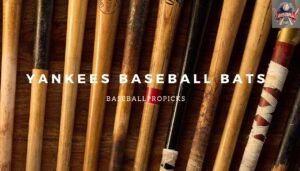 Yankees Baseball Bats: The Gear You Need To Dominate
